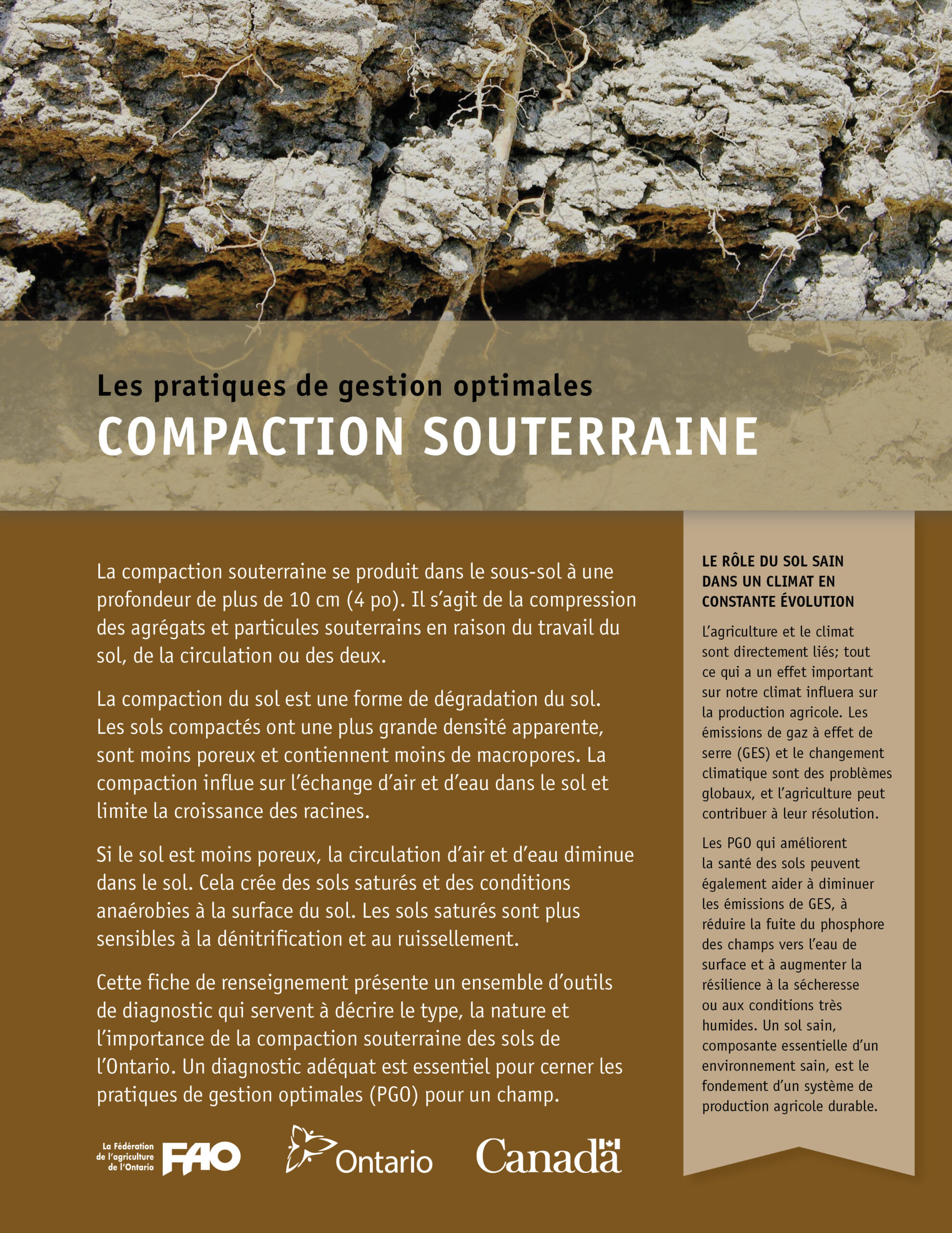 Santé du sol – LES PRATIQUES DE GESTION OPTIMALES