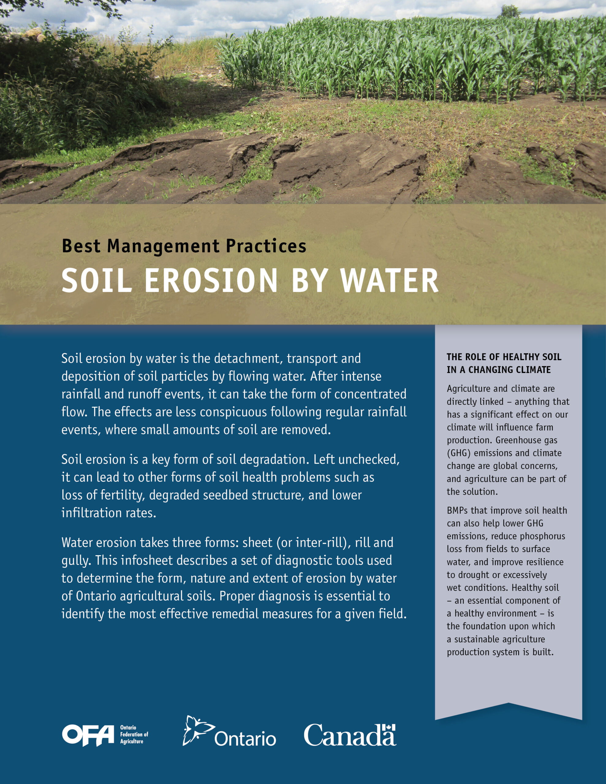 Soil Challenges – Best Management Practices