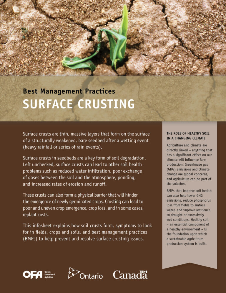 Soil Challenges – Best Management Practices